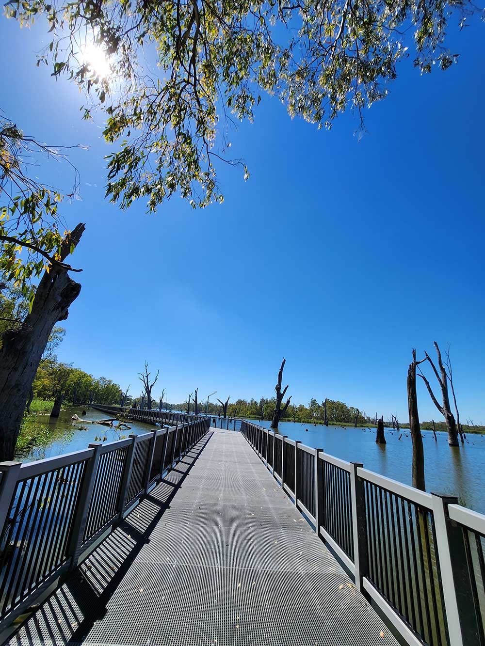 Corowa Mulwala Cycle Trail | Mulwala Water Ski Club