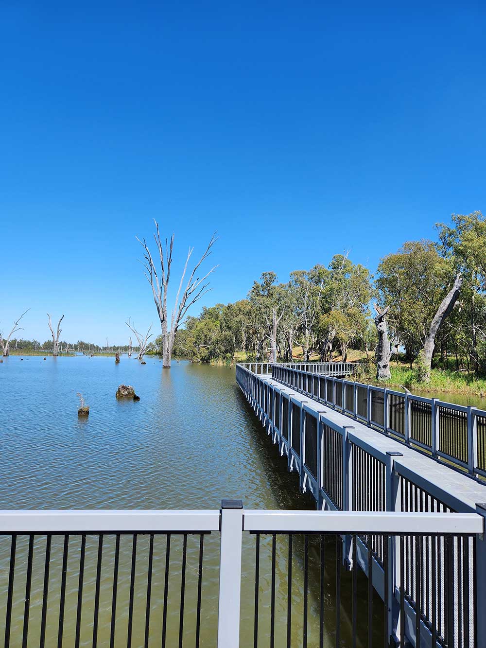 Corowa Mulwala Cycle Trail | Mulwala Water Ski Club