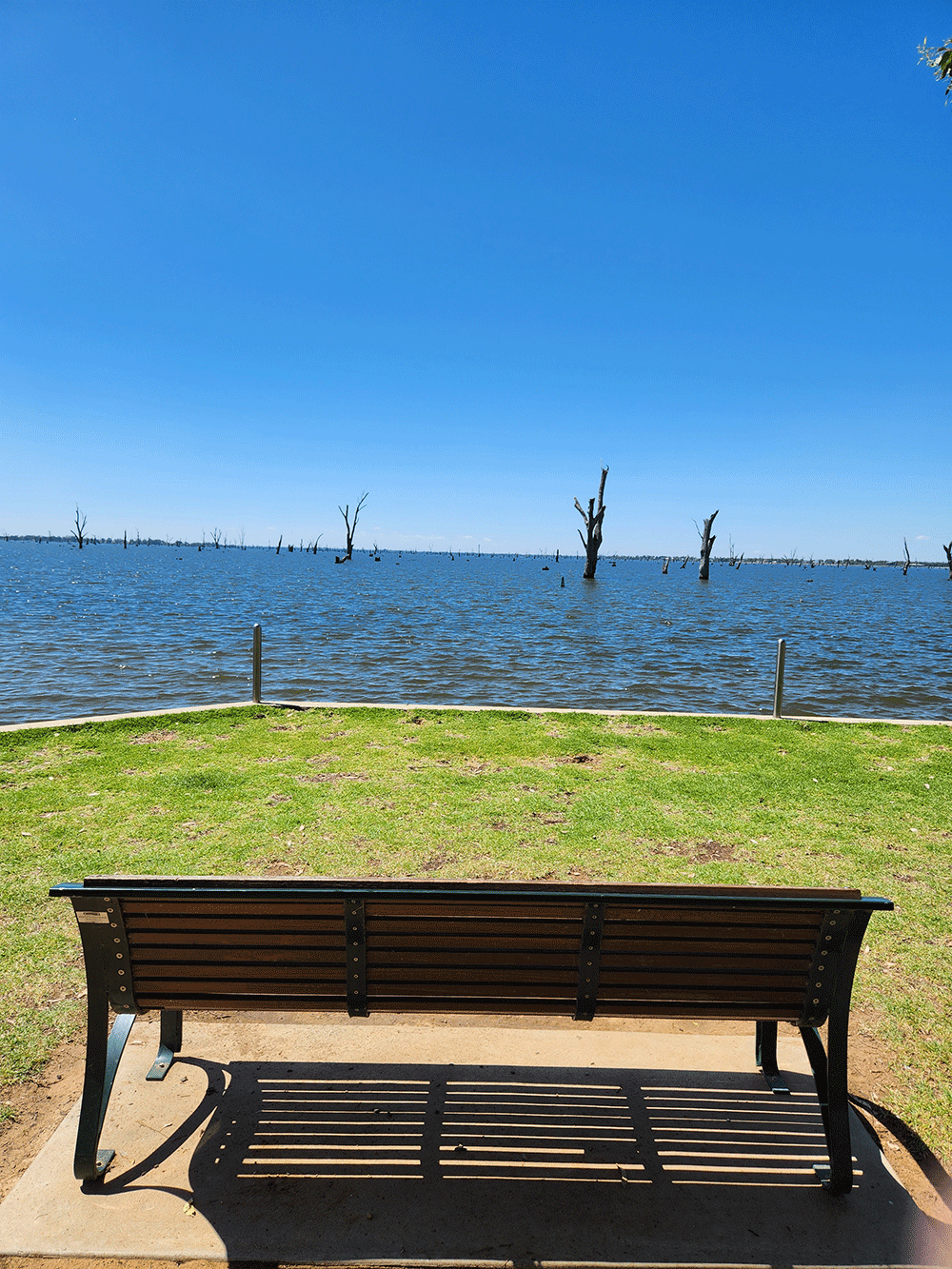 Lake Mulwala | Mulwala Water Ski Club